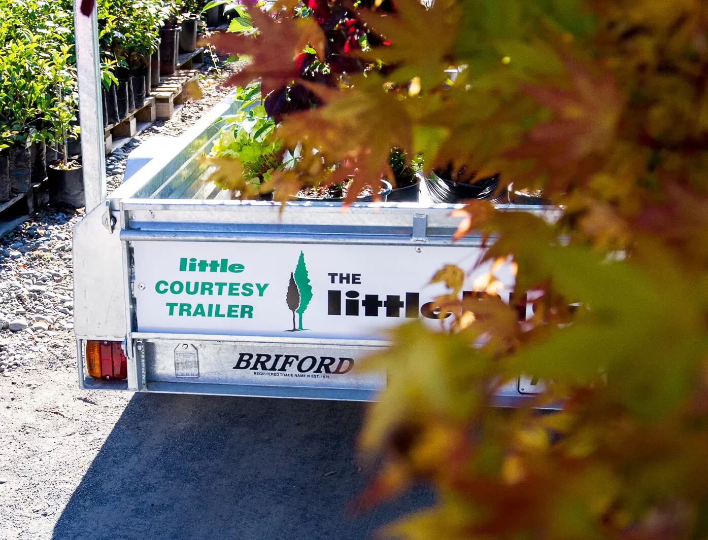 trailer-banner | Little Big Tree Company Christchurch New Zealand